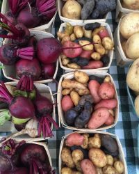 Beets in Every Color! | Tips From Town