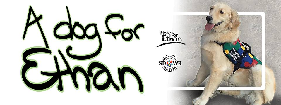 Local Fundraiser for Ethan's Service Dog | Tips From Town