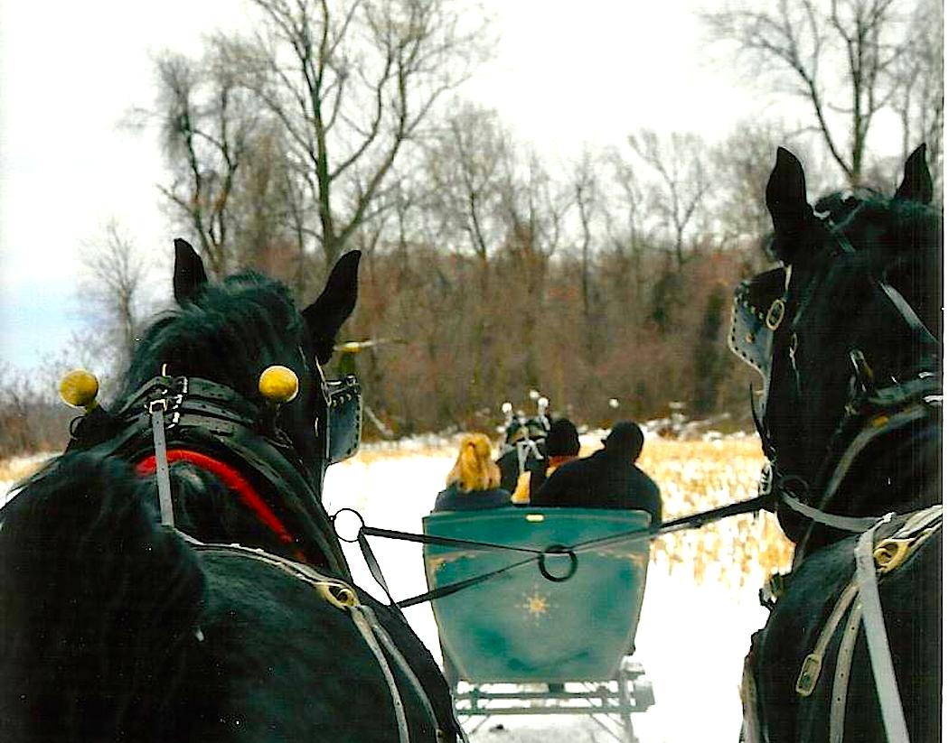 Dashing Through the Snow in a One (or Two) Horse Open Sleigh | Tips ...